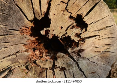 28,228 Weathered Crosses Images, Stock Photos & Vectors | Shutterstock