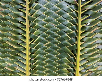 3,479 Coconut weave Images, Stock Photos & Vectors | Shutterstock