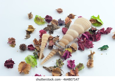 134 Tower screw shell Images, Stock Photos & Vectors | Shutterstock