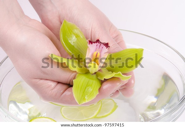 Wellness Hands Stock Photo 97597415 | Shutterstock