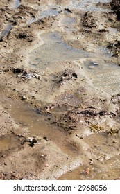Wet Mud Texture Stock Photo 2968056 | Shutterstock
