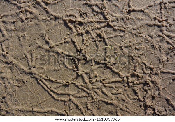Wet Sand Texture Trace Patterns On Stock Photo 1610939965 | Shutterstock