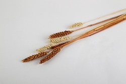 Whole grain carbohydrates, a Photo by Antonio Gravante Market