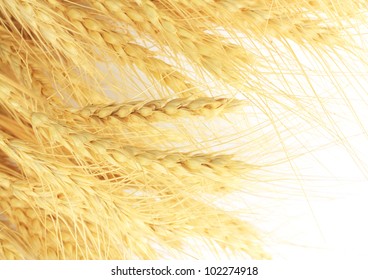 Wheat Background Stock Photo 102274918 | Shutterstock