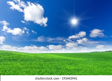 Wheat Field Stock Photo 193443941 | Shutterstock