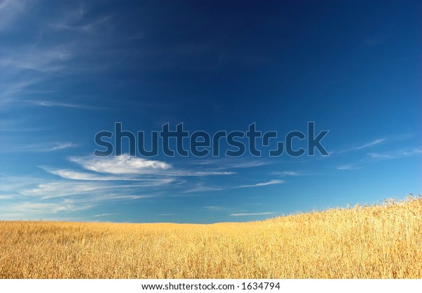 Wheat Field Landscape Stock Photo 1634794 | Shutterstock
