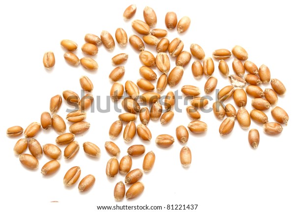 Wheat Grain Stock Photo (Edit Now) 81221437