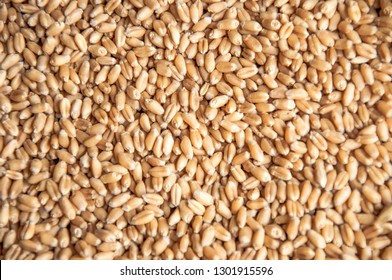 Wheat Grain Texture Background Stock Photo 1301915596 | Shutterstock
