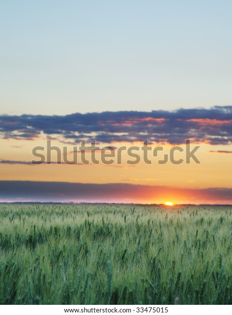 Wheat Sunset Stock Photo (Edit Now) 33475015