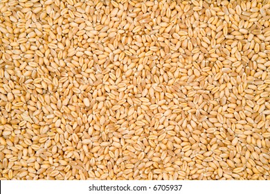 82,179 Wheat seed texture Images, Stock Photos & Vectors | Shutterstock