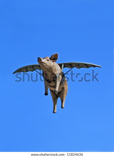 When Pigs Fly Stock Photo (Edit Now) 11824636