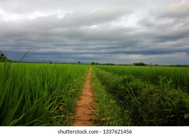 When Raining Almost There Stock Photo 1337621456 | Shutterstock