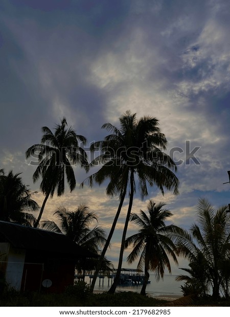 When Sun Hit Face Stock Photo 2179682985 | Shutterstock