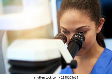 When Working Microscopes Focus Key Shot Stock Photo 2150103665 ...