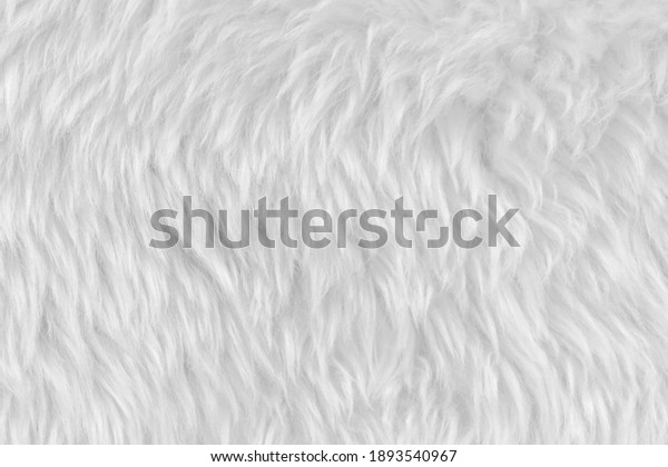 White Clean Wool White Top Texture Stock Photo 1893540967 | Shutterstock