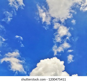 Imgae Images, Stock Photos & Vectors | Shutterstock
