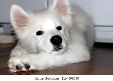 139 Samay Images, Stock Photos & Vectors | Shutterstock