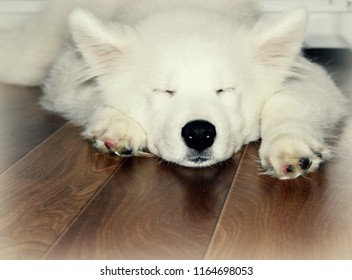 139 Samay Images, Stock Photos & Vectors | Shutterstock