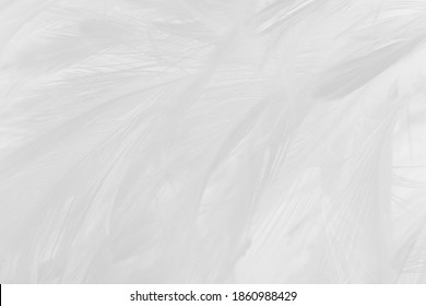 2,074 Soft wooly texture Images, Stock Photos & Vectors | Shutterstock