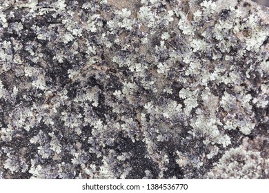 Gold flakes texture 35,836 รายการ ภาพ ภาพสต็อกและเวกเตอร์ | Shutterstock