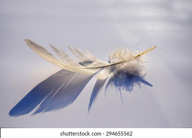 671 Letting go birds Images, Stock Photos & Vectors | Shutterstock