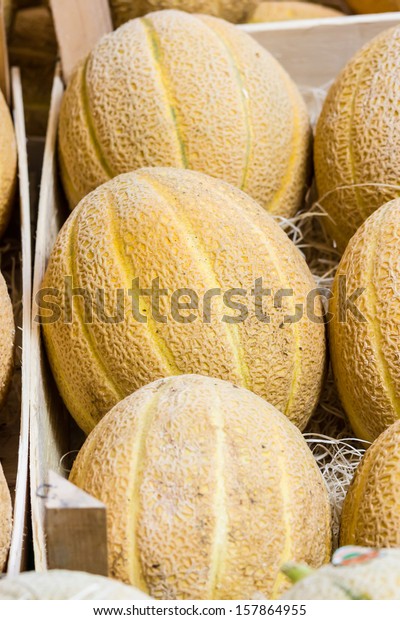 White Melon Stock Photo (Edit Now) 157864955