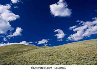 701 Patchy Field Images, Stock Photos & Vectors | Shutterstock