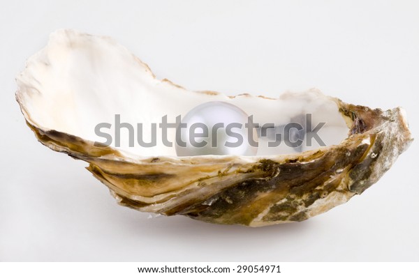 White Pearl Shell Stock Photo (Edit Now) 29054971