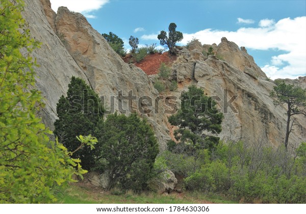 White Rock Pine Tree Sky Stock Photo 1784630306 | Shutterstock