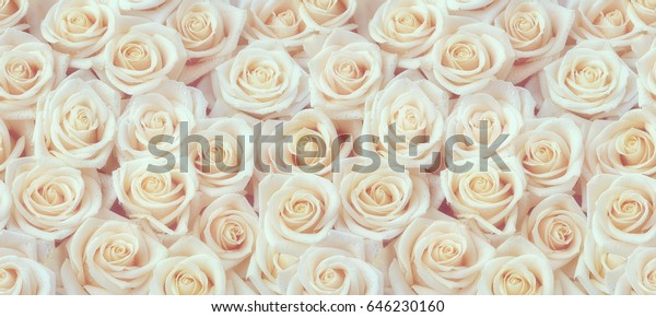 White Roses Horizontal Seamless Pattern White Stock Photo (Edit Now ...