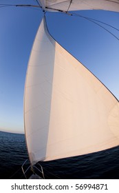 405,405 White sails Images, Stock Photos & Vectors | Shutterstock
