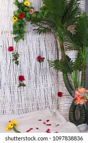 White Setup Background Stock Photo 1097838821 | Shutterstock