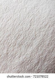 White Soft Texture Stock Photo 721078522 | Shutterstock