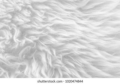 White Soft Wool Texture Background Seamless Stock Photo 1020474844 ...