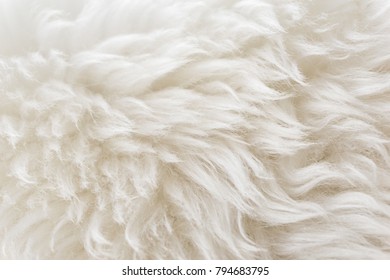 14,319 Sheep hair texture Images, Stock Photos & Vectors | Shutterstock