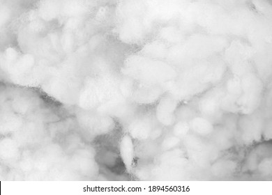White Wadding Wadding Texture Background Cotton Stock Photo 1894560316 ...