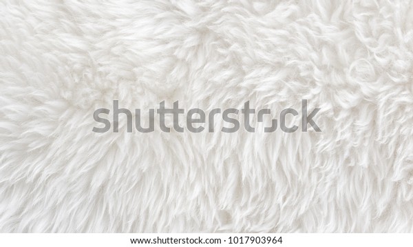 White Wool White Top Texture Background Stock Photo (Edit Now) 1017903964