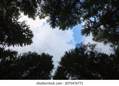 4,218 Photo from upper view Images, Stock Photos & Vectors | Shutterstock
