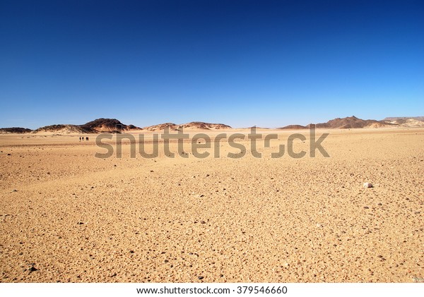Wide Empty Desert Stock Photo (Edit Now) 379546660