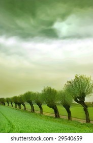 1,722 Row of willow trees Images, Stock Photos & Vectors | Shutterstock