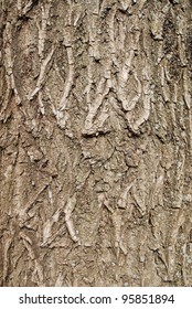 2,241 Willow bark texture Images, Stock Photos & Vectors | Shutterstock