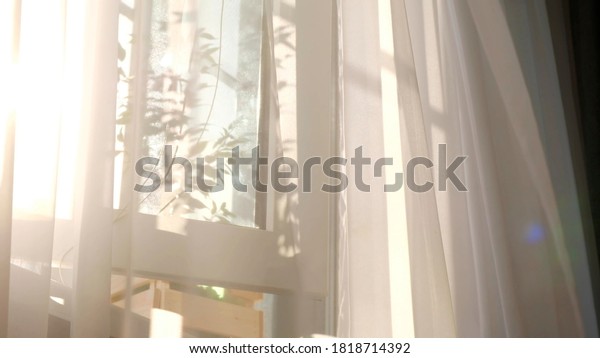 Wind Blows Through Open Window Room Stock Photo (Edit Now) 1818714392