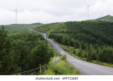 Winding Mountain Path Through Trees Stock Photo 699713683 | Shutterstock
