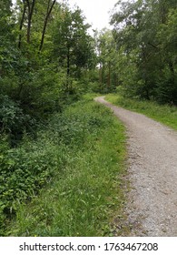 6,552 Winding Path Through Forest Images, Stock Photos & Vectors ...