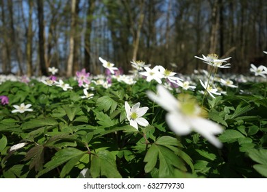 Stockfoto- und Stockbild-Portfolio von fotubi | Shutterstock