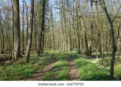 Stockfoto- und Stockbild-Portfolio von fotubi | Shutterstock