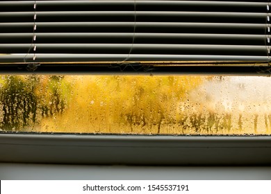 509 Drip mould Images, Stock Photos & Vectors | Shutterstock