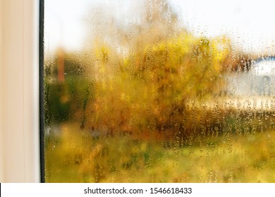 509 Drip mould Images, Stock Photos & Vectors | Shutterstock
