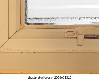 Window Lock System Locked Position Stock Photo 2058601313 | Shutterstock