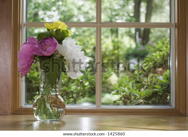 Window Looking Out Beautiful Spring Summer Stock Photo (Edit Now) 1425860
